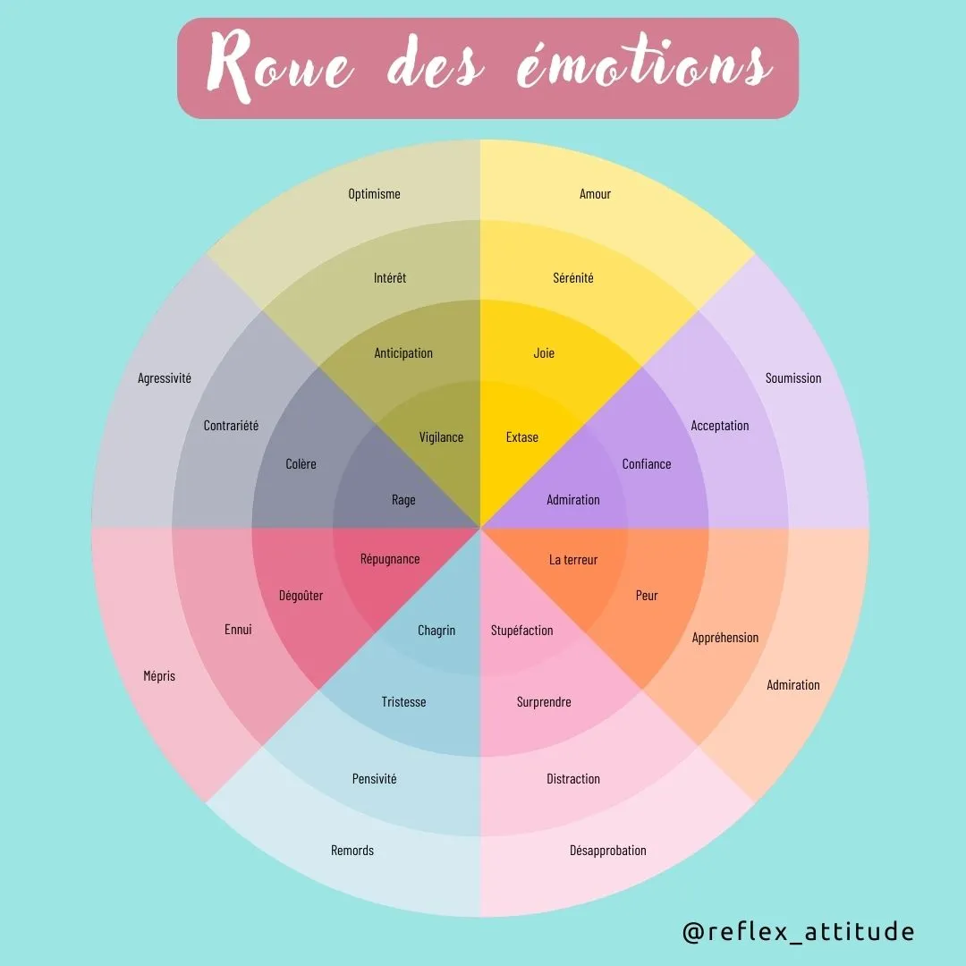 Gérer les émotions négatives en 6 étapes - Reflexologie et Sophrologie ... Gérer les émotions négatives en 6 étapes - Reflexologie et Sophrologie ...